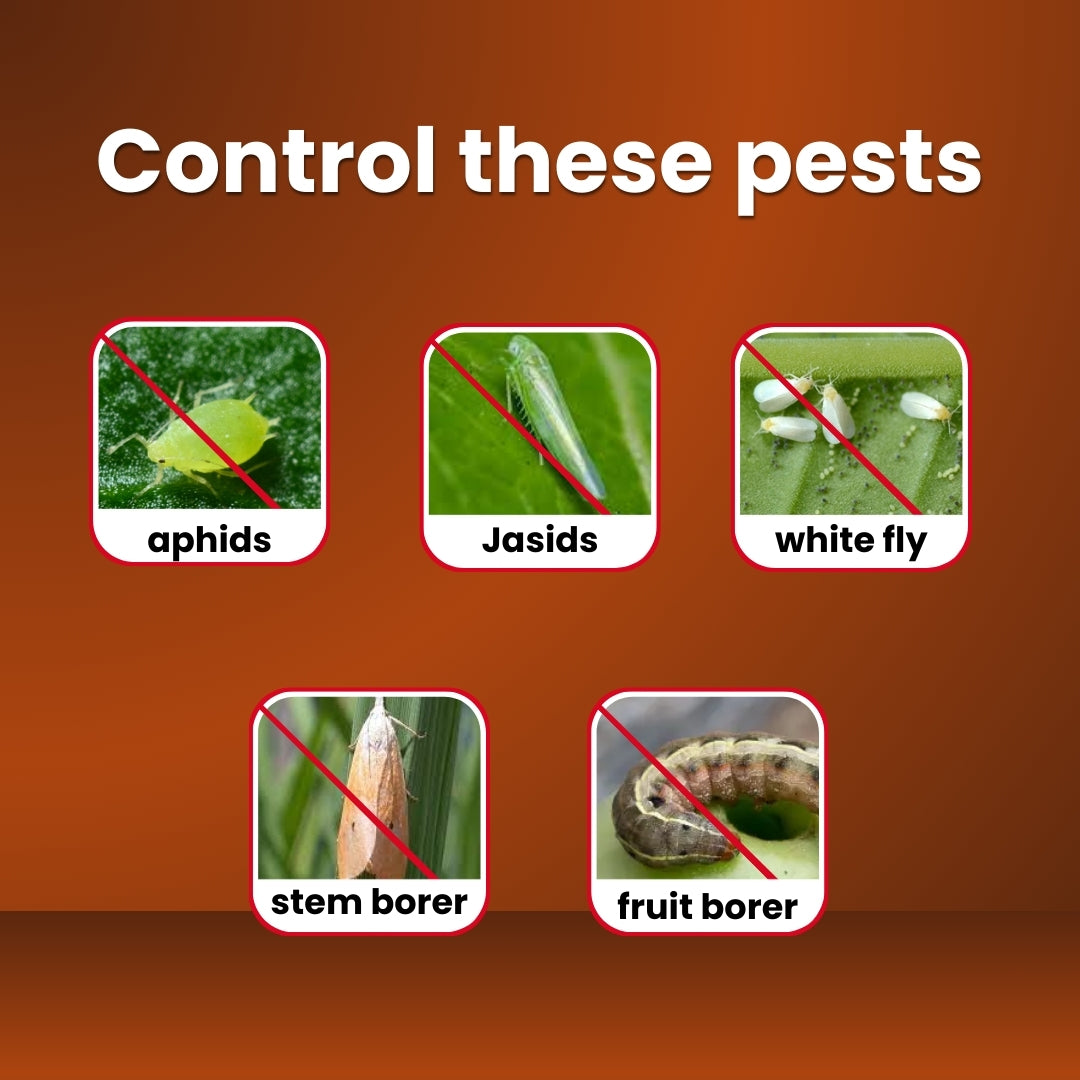 GGV Katyayani Emathio